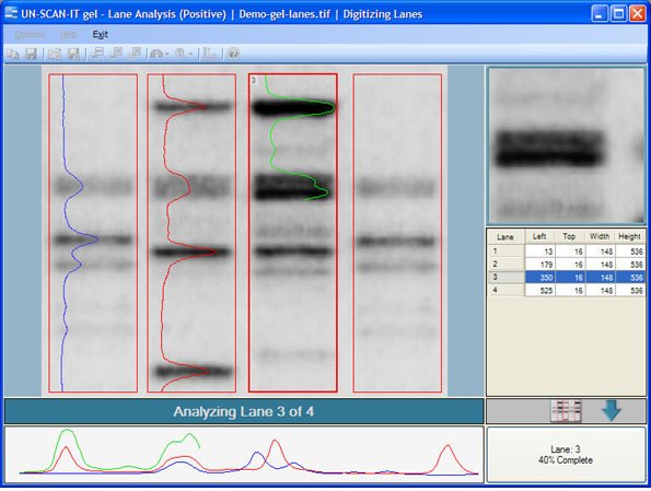 Western Blot Quantification Software Western Blot Quantification Software
